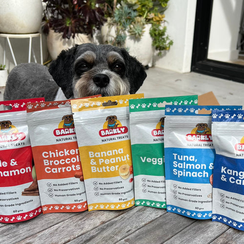 The Joy of Crunchy Treats: Why They're Good for Dogs – BARKLY